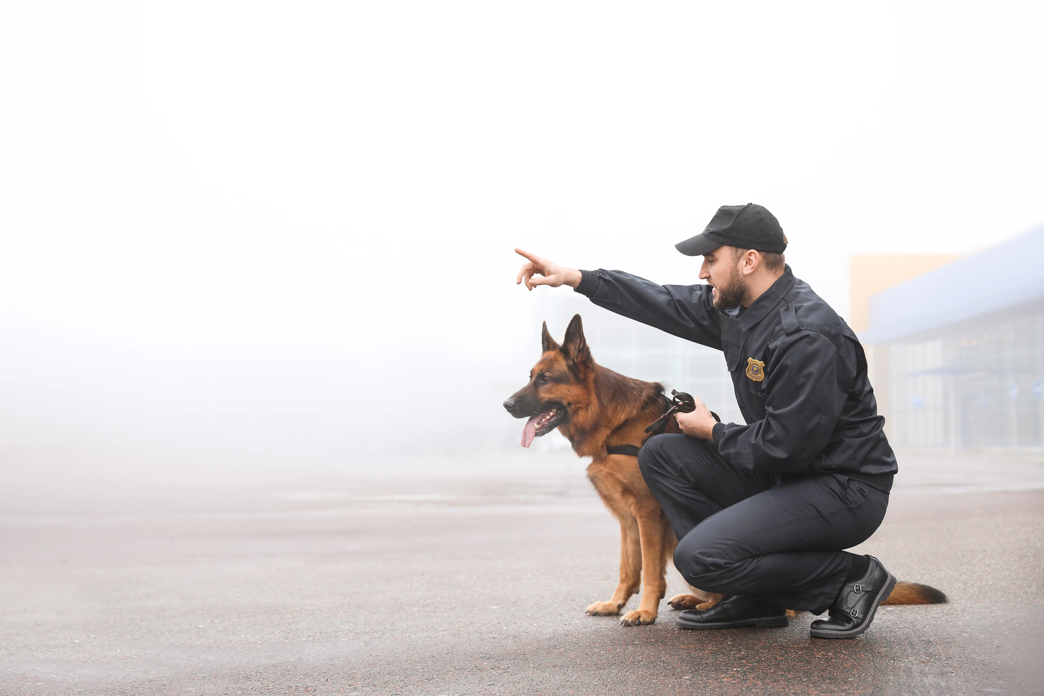 Security guard services in London | Swift Alert Services